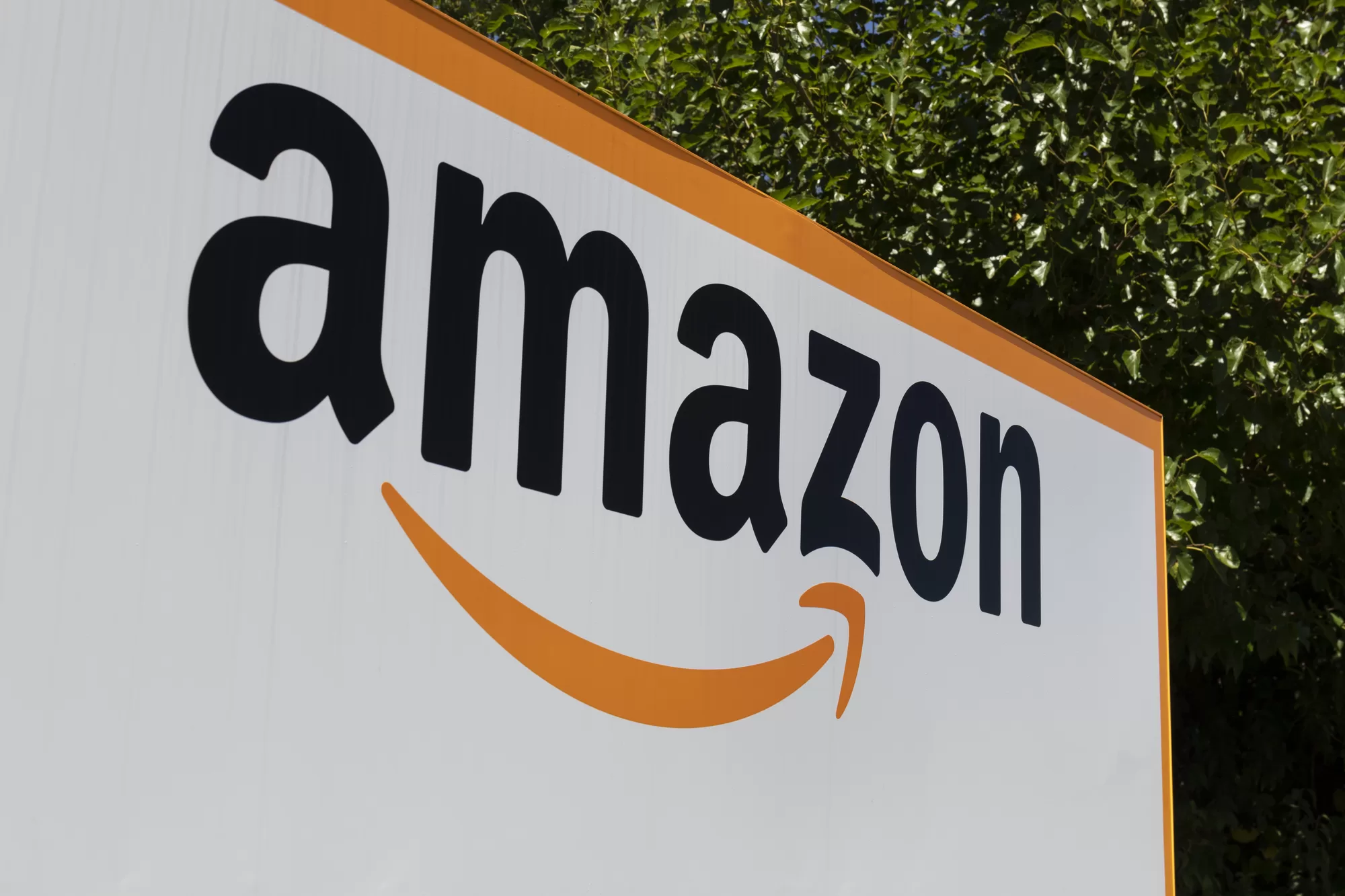 Amazon Plan of Action