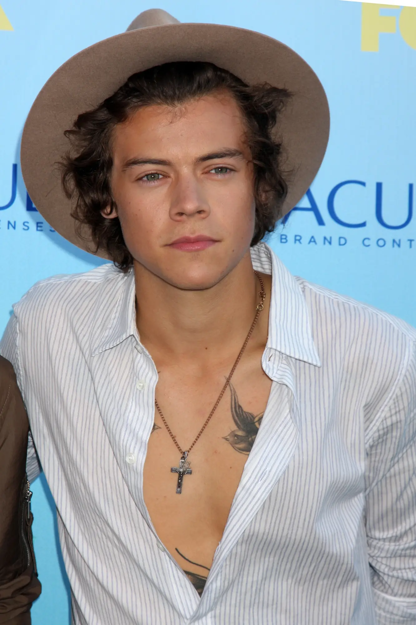 Harry Styles Trademark Infringement Action